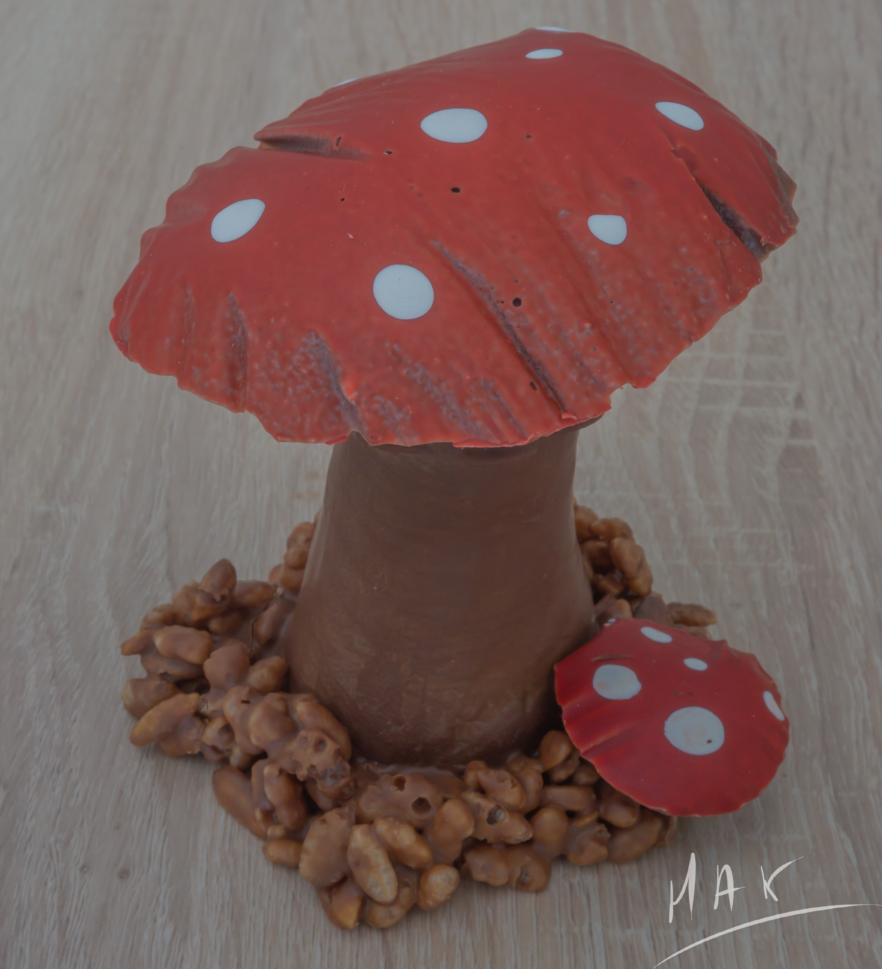 MAKRAM DAOU - Chocolat Mushroom with crisped rice