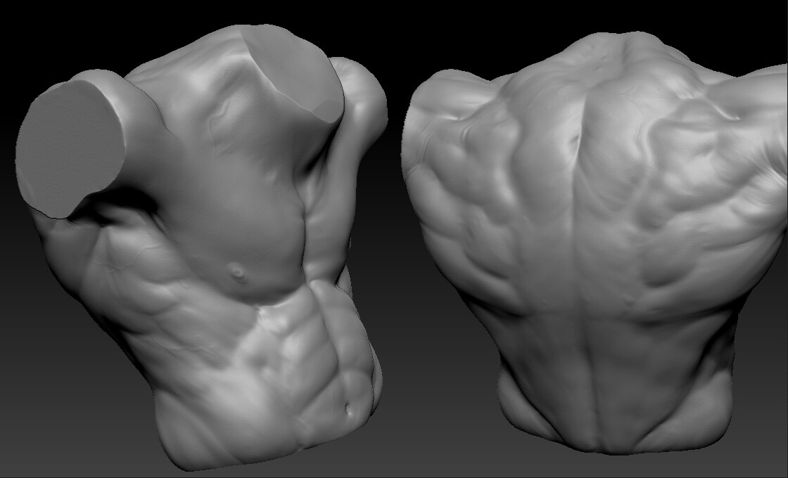 ArtStation - Male Torso study