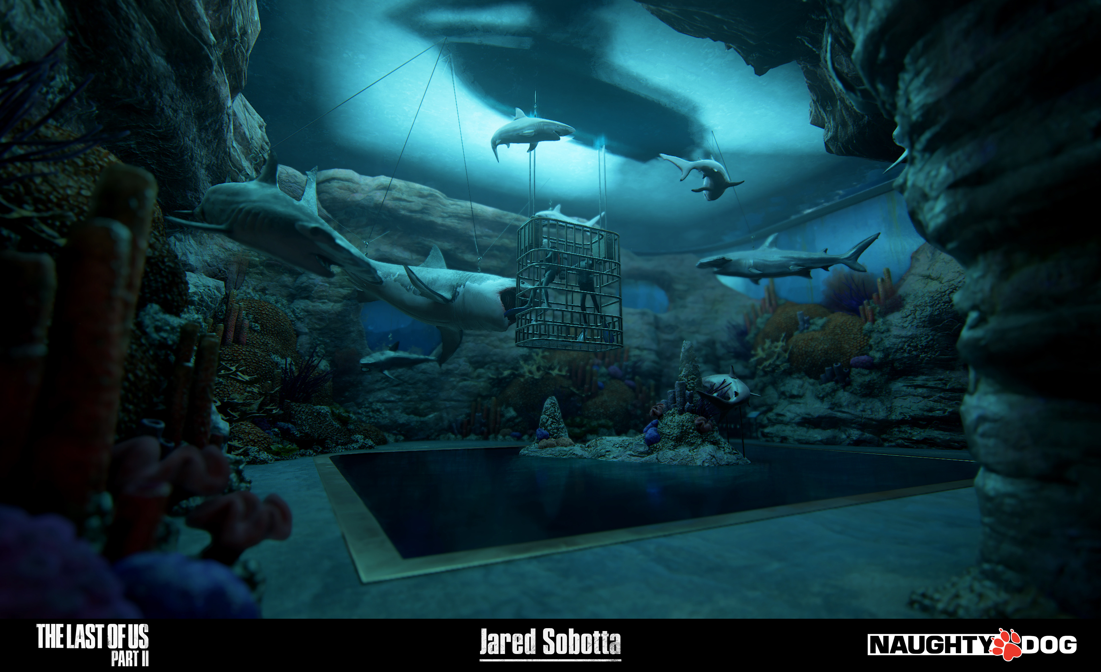 Jared Sobotta - The Last of Us: Part 2 Aquarium Exhibits