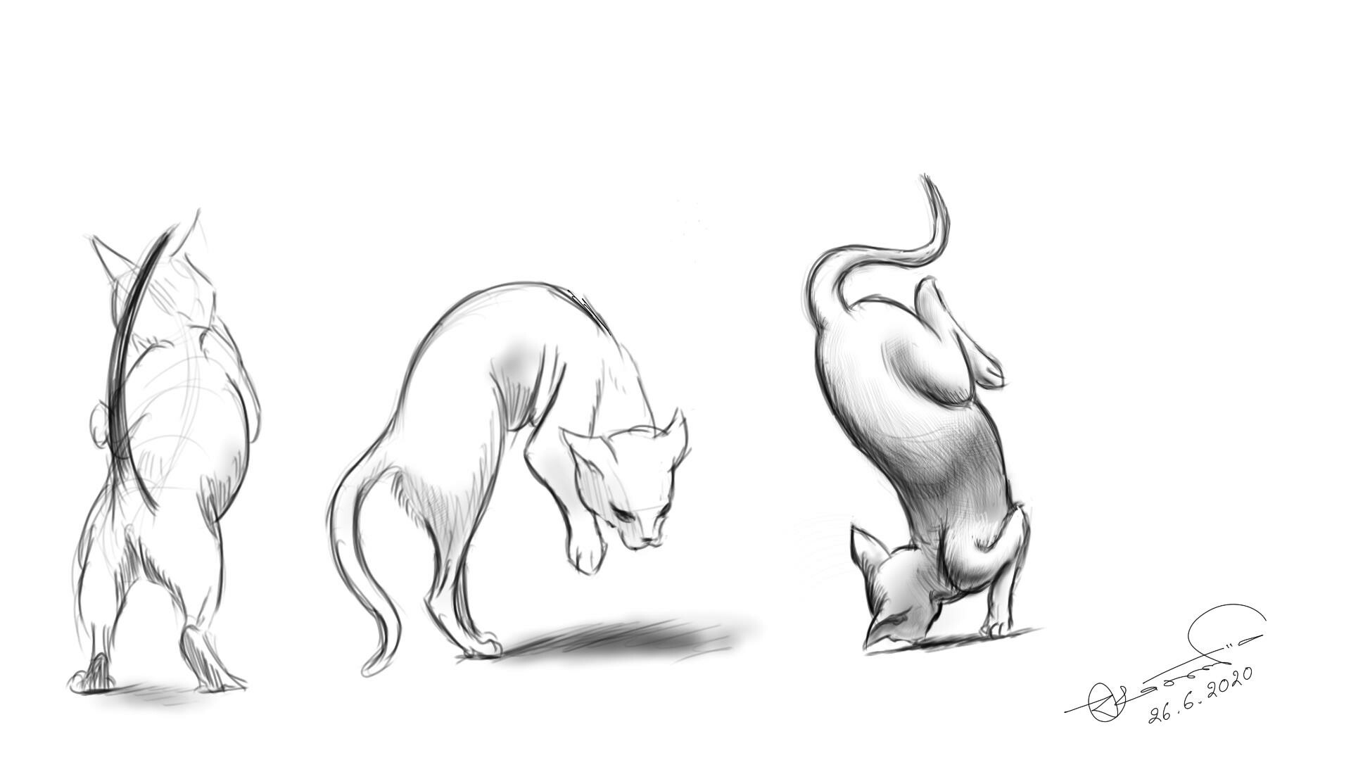 ArtStation - Cat study day 3