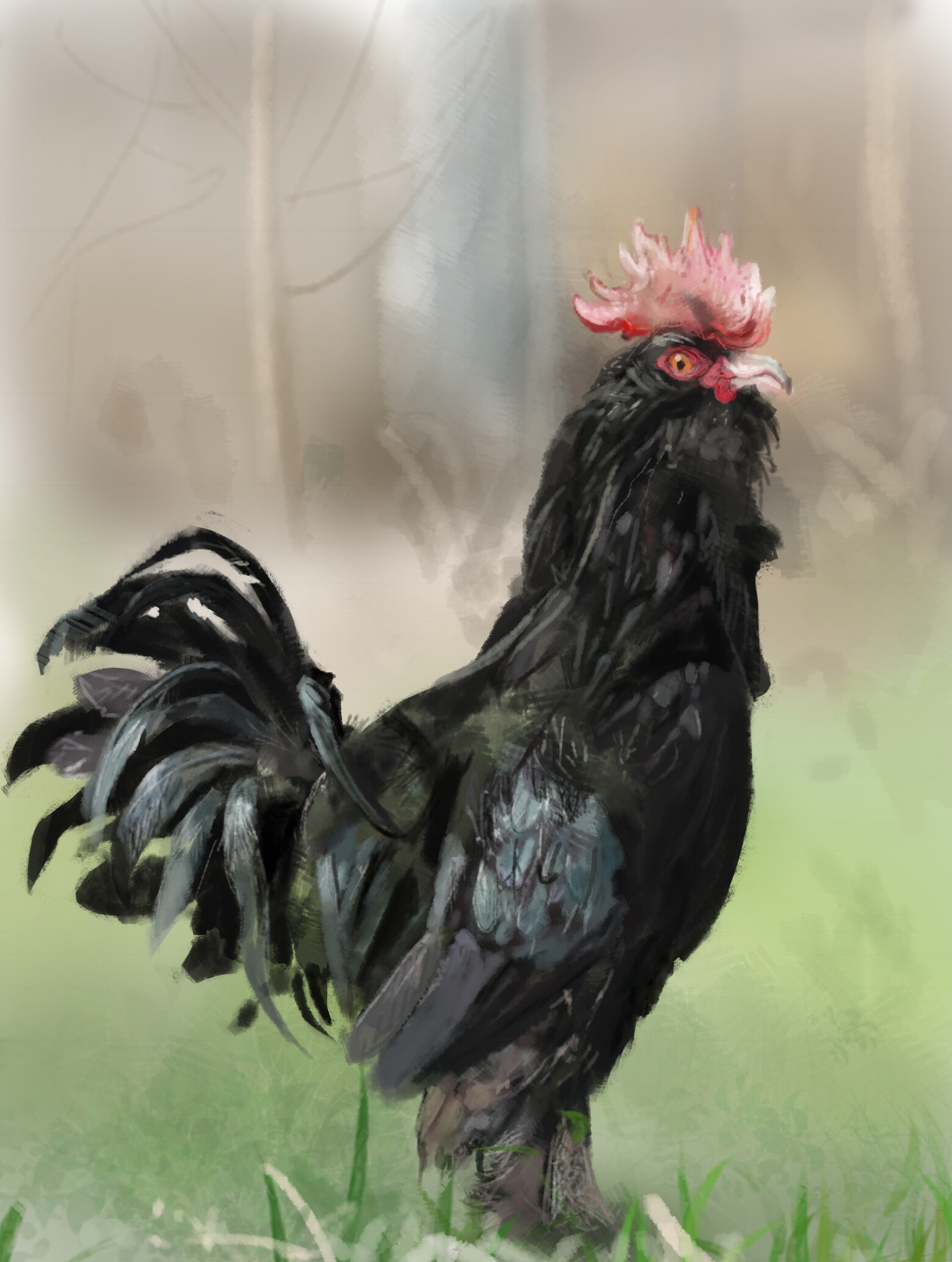 ArtStation - Study from rooster