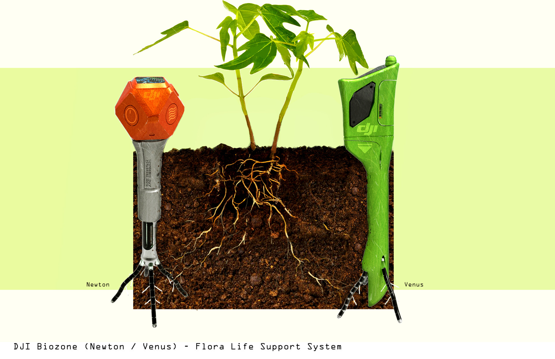 ArtStation - Flora Concept