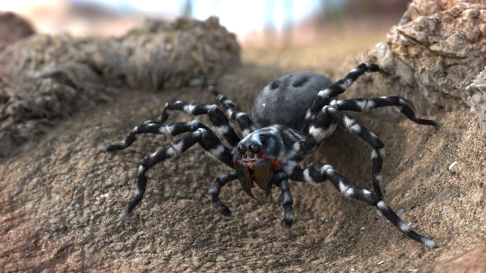 ArtStation - Wolf Spider