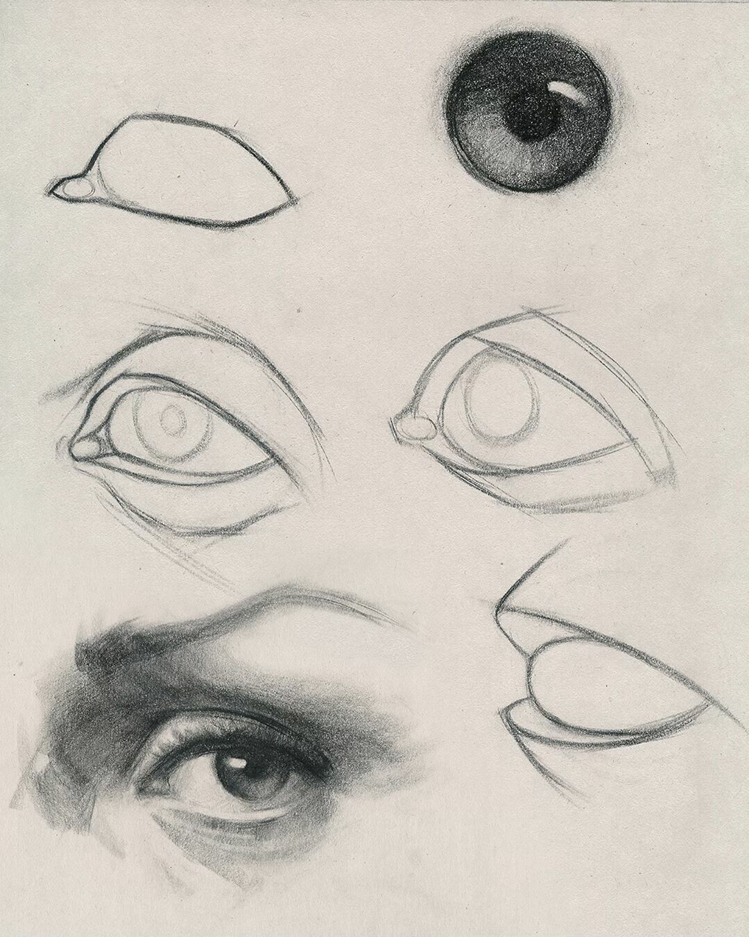 how to draw eyes anatomy