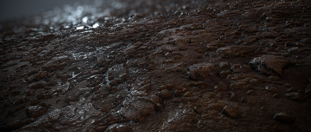 Jeremy Huxley - The Last of Us: Part 2 Materials: Muddy Stones medium