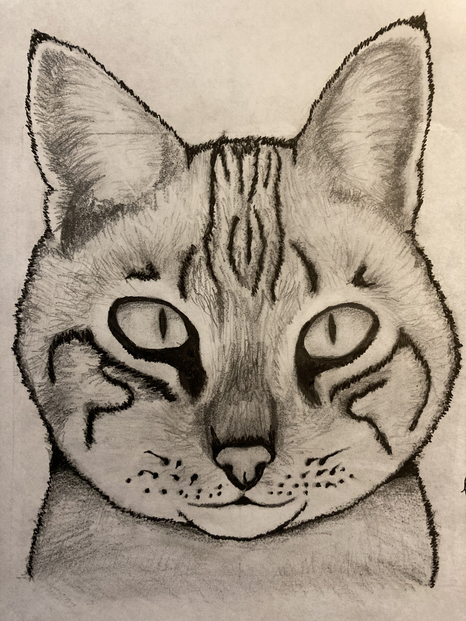 how to draw a cat markcrilley