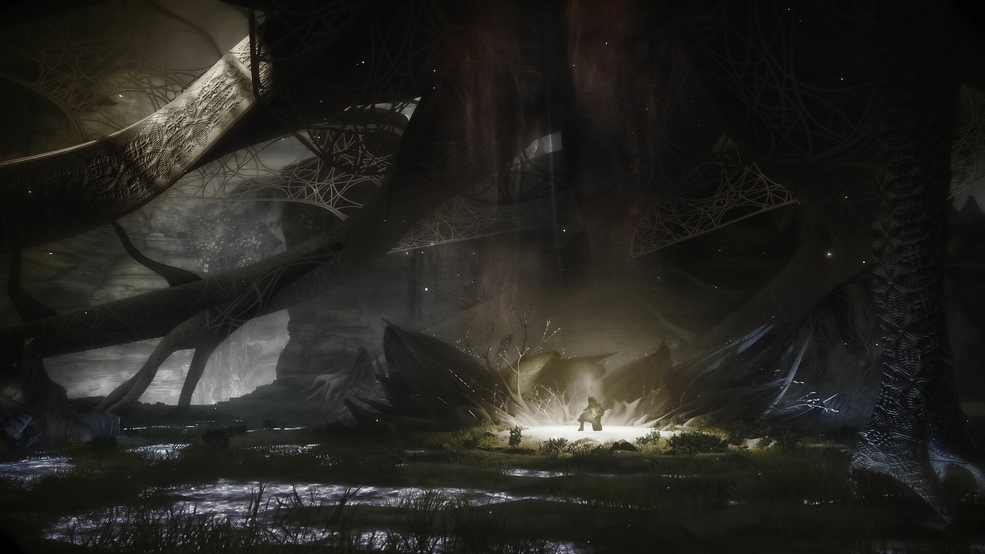 ArtStation - [4K Edited Screenshot] Seed of Silver Wings - Intro ...