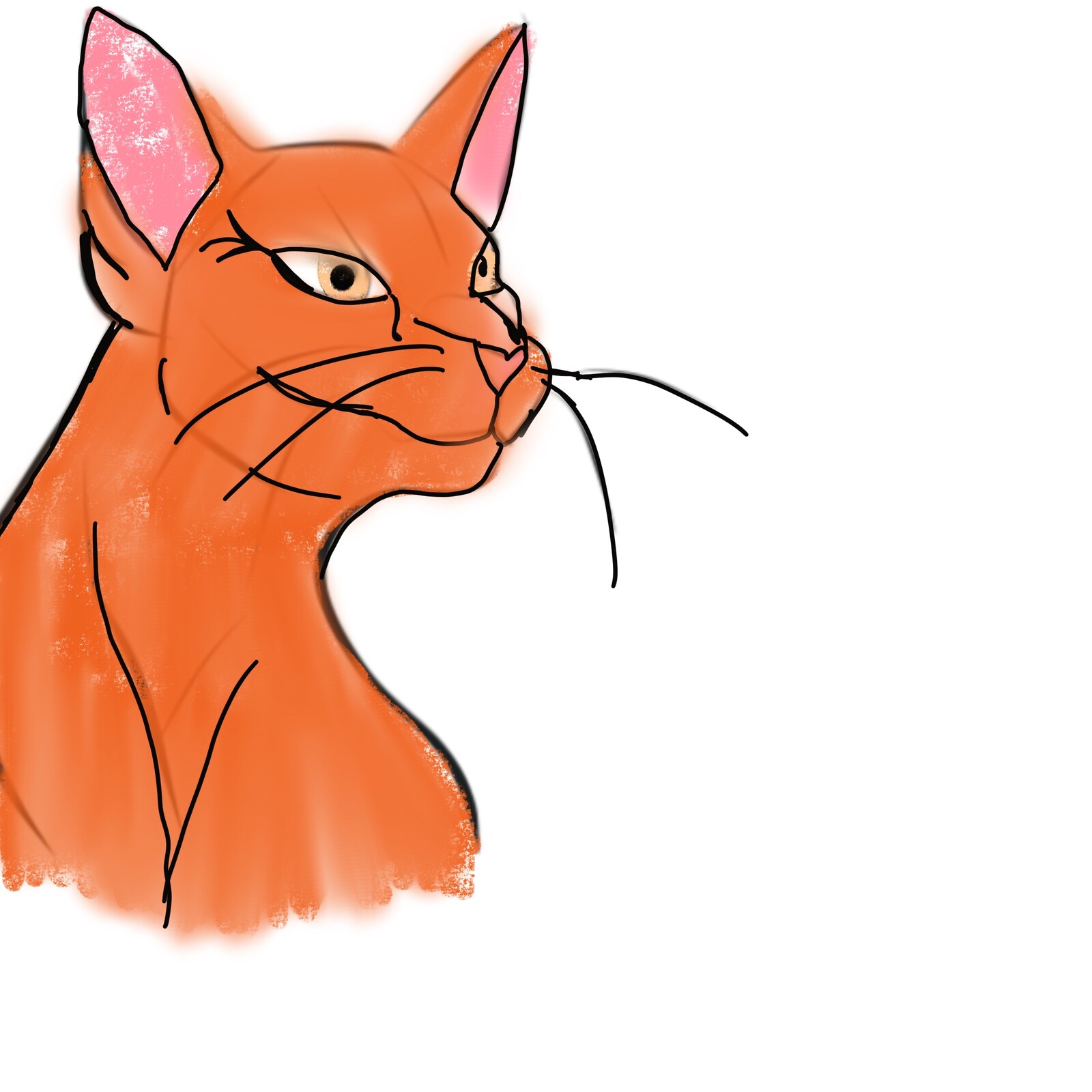 faith Nelson - Kitty