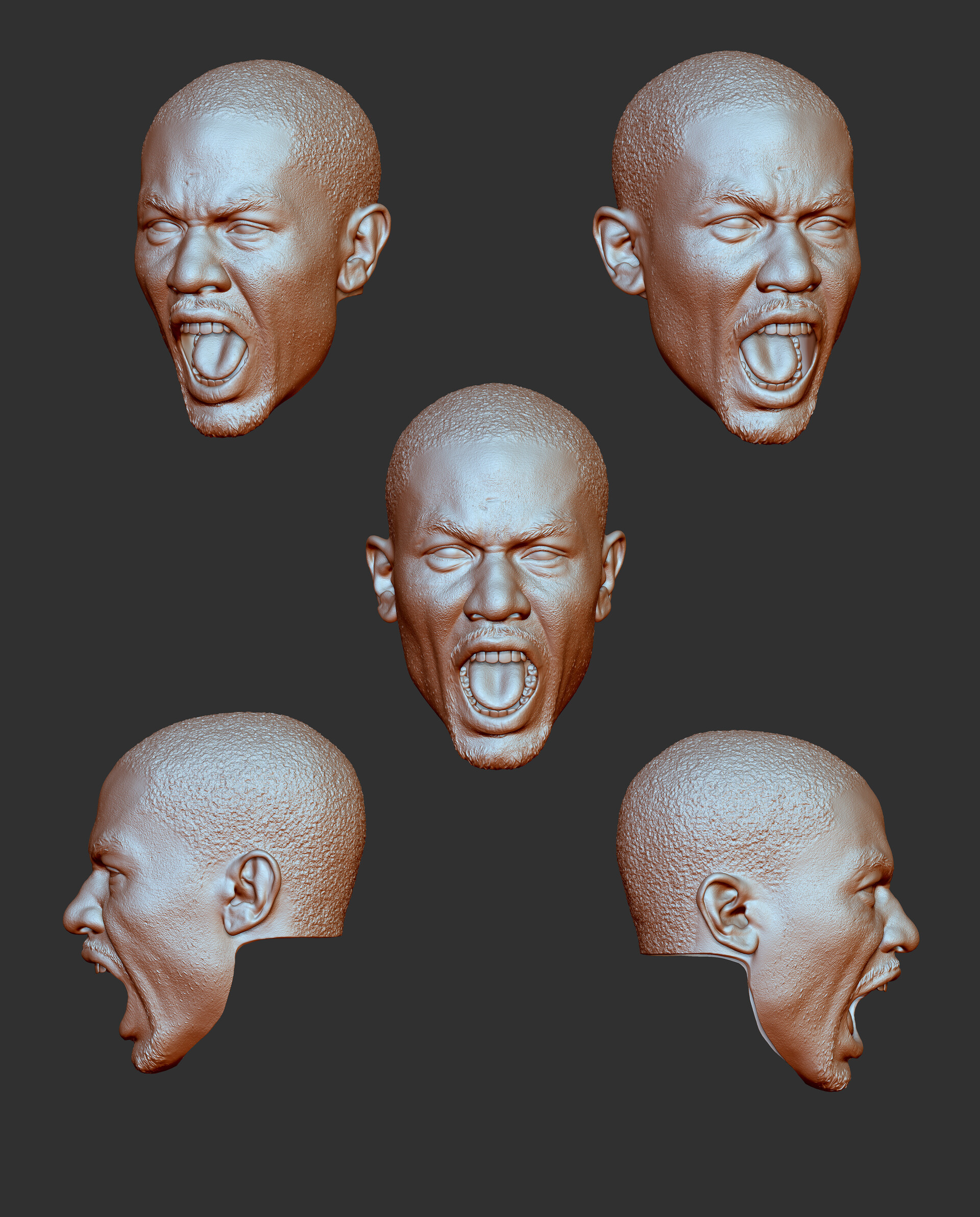 ArtStation - Angry Rose