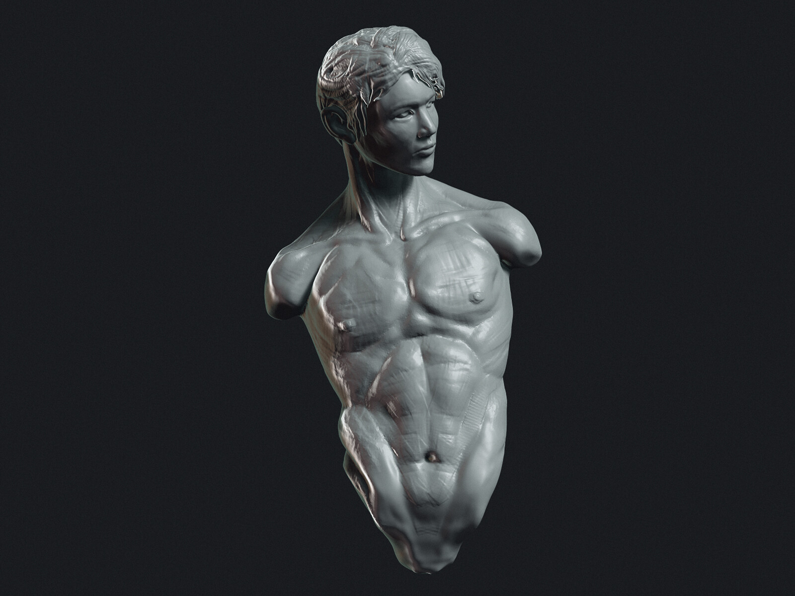 ArtStation - Torso study