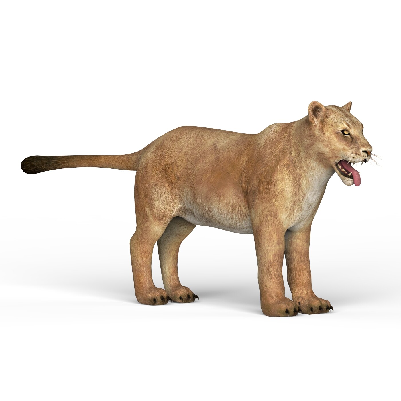 ArtStation - Lioness 3D Model