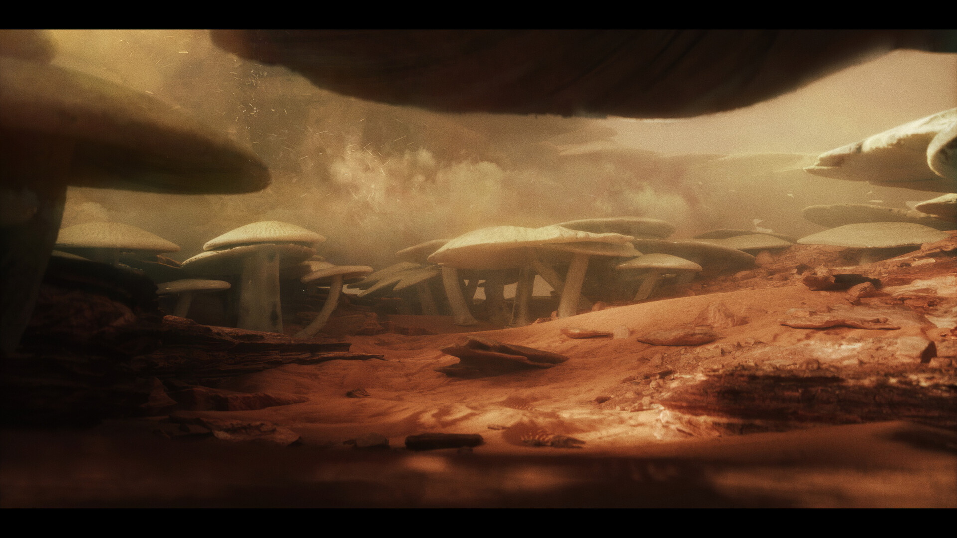 ArtStation - Metamorphosis