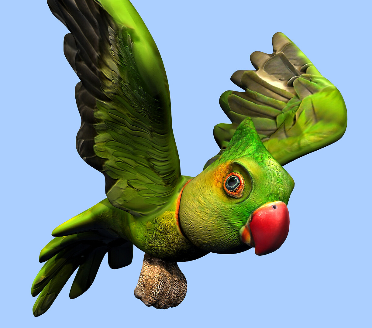 Ramesh V J - 3d Parrot