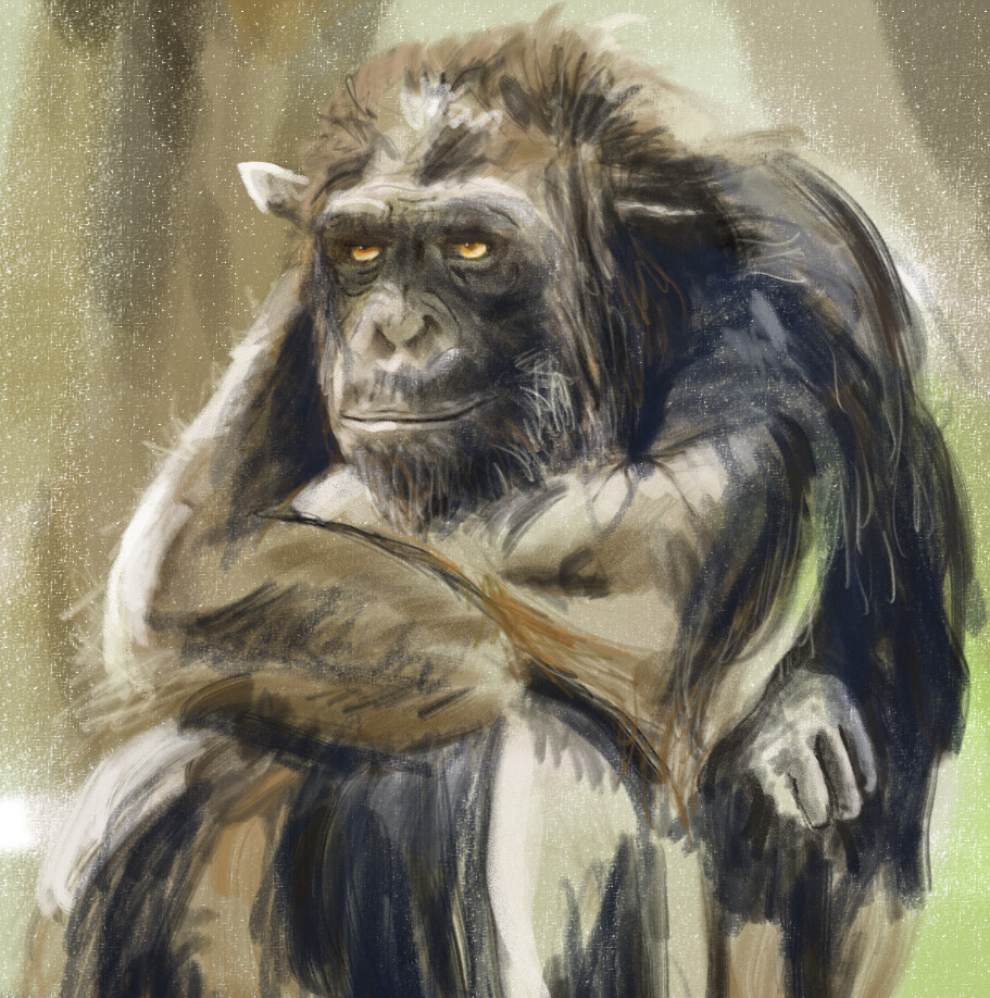 ArtStation - What was next?