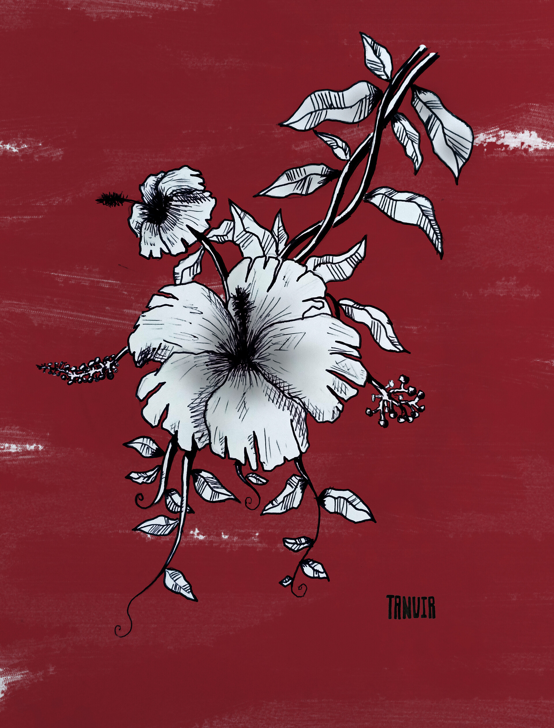 ArtStation - Rose Mallow