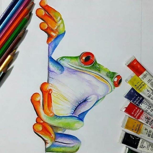 ArtStation - Red-eyed Tree Frog