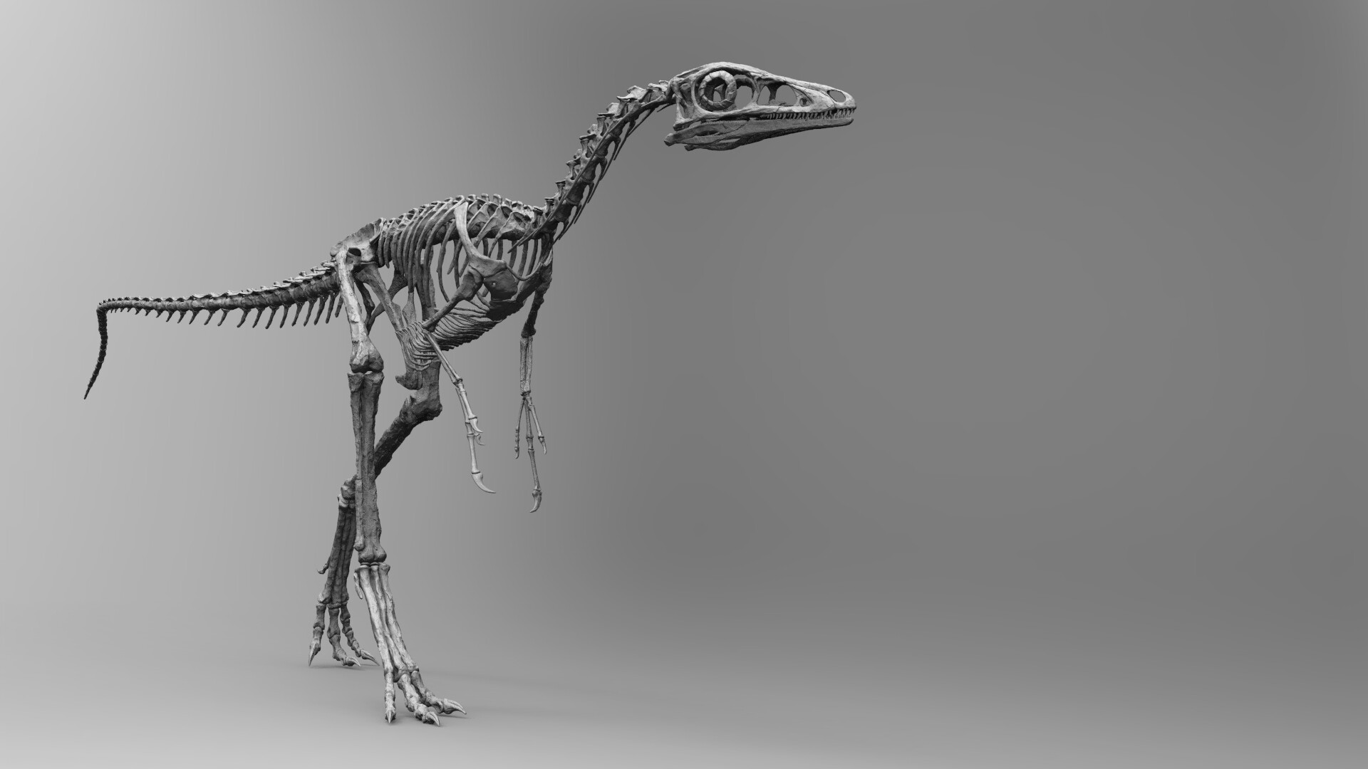ArtStation - Compsognathus longipes