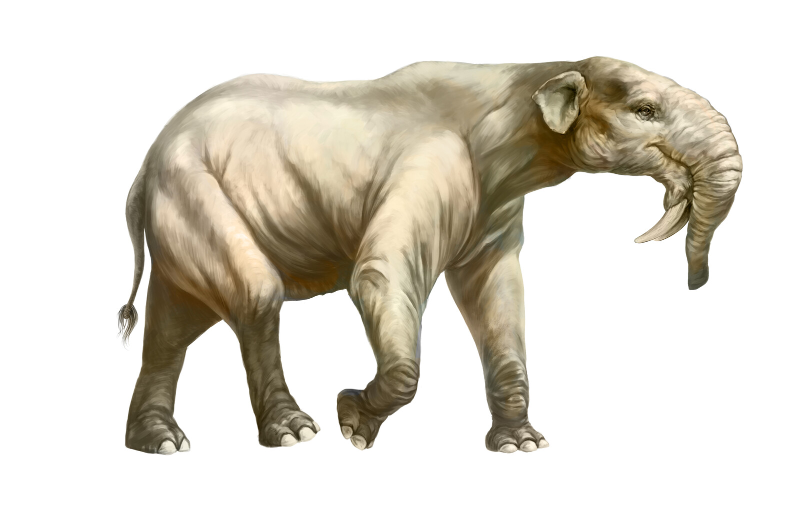 Dragutin Vukelic - Dinosaurs