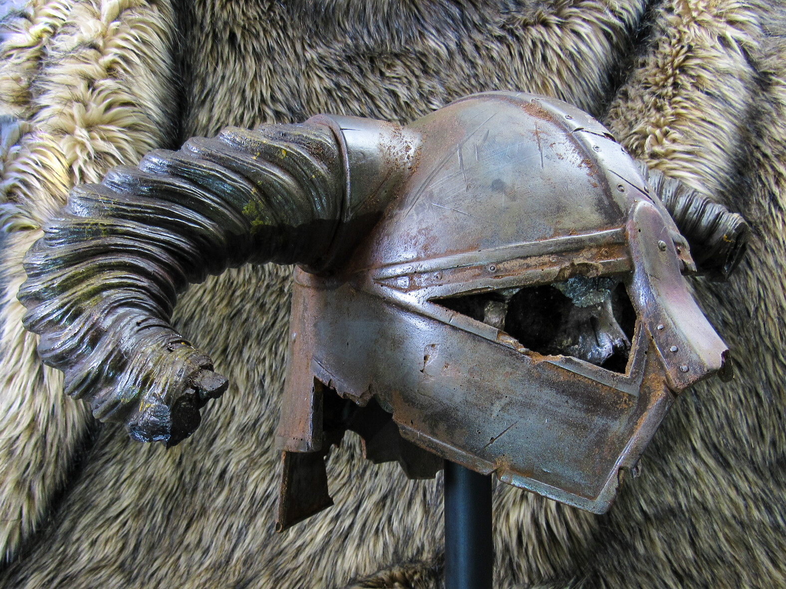 Allen Amis - Skyrim Dragonborn Helmet Display