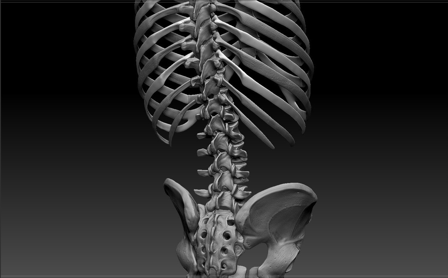 Homes Ho - AnatomyTool Project - WIP 1