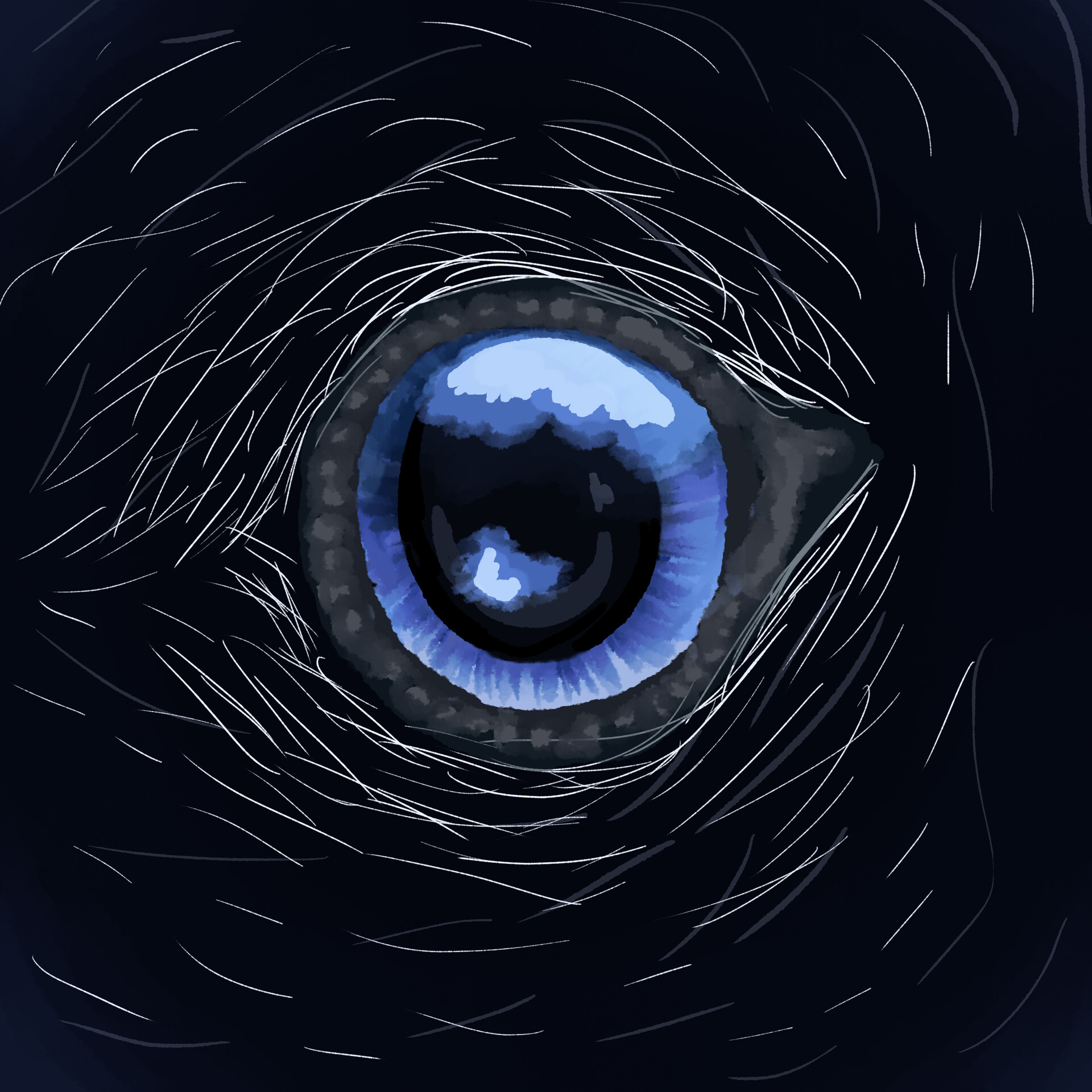 how to draw raven eyes