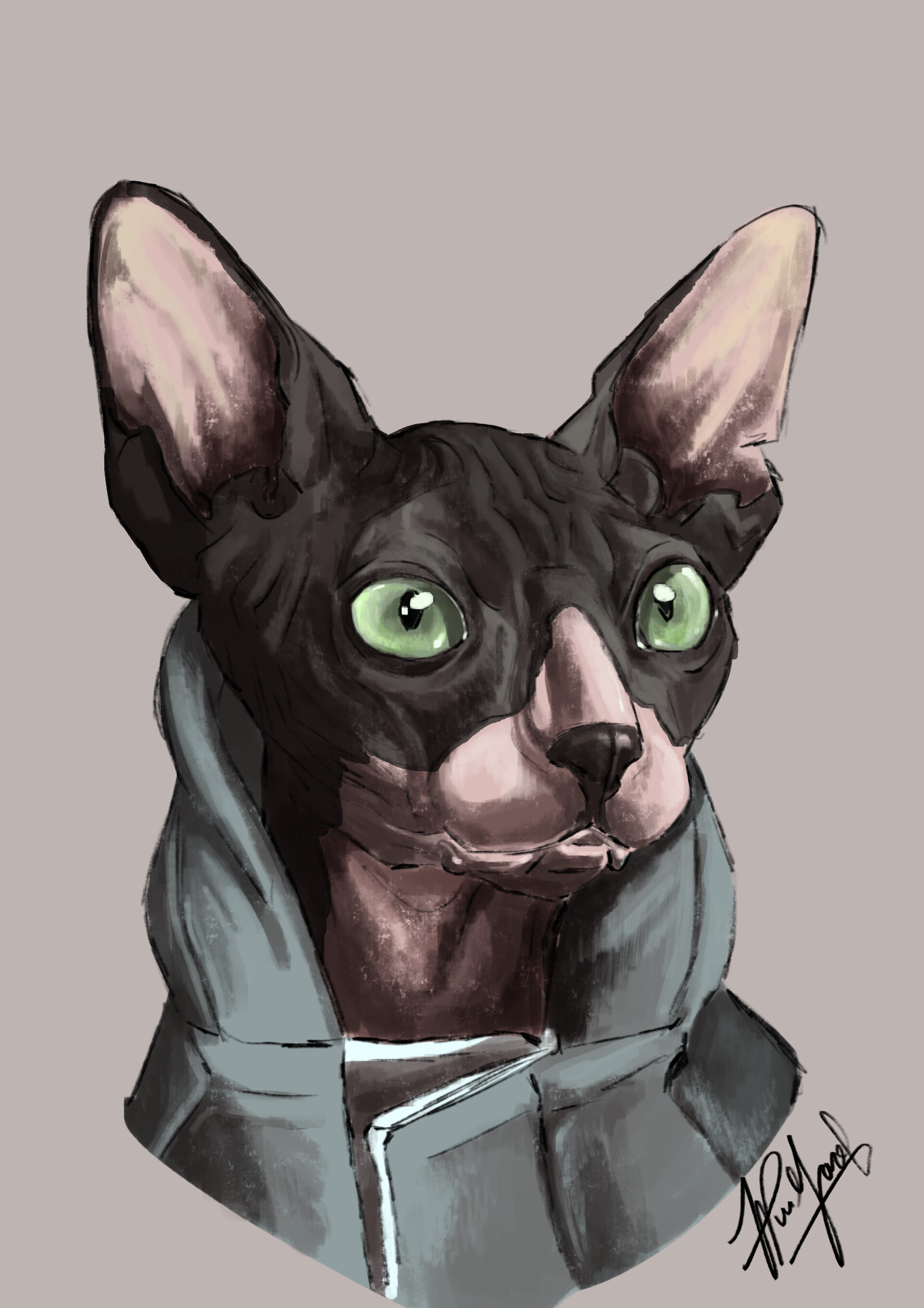 ArtStation - Sphynx cat portrait study