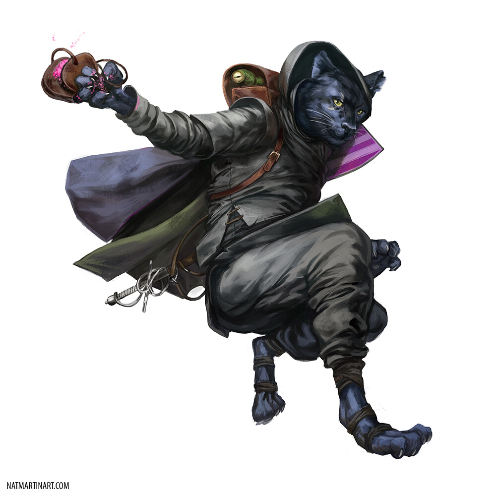 Tabaxi Design by Nat Martin : r/ImaginaryAssassins