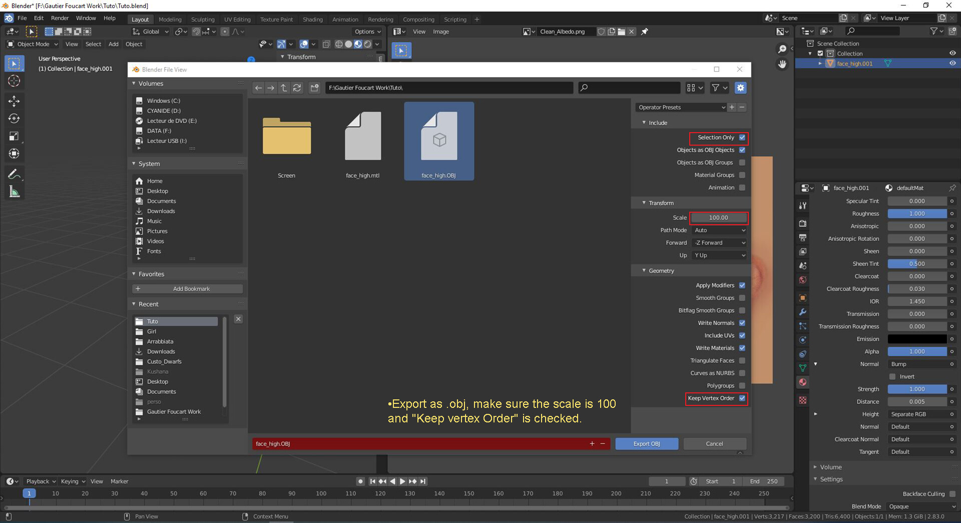 Gautier Foucart - [Guide]Detailing skin with Texturing.xyz multi ...