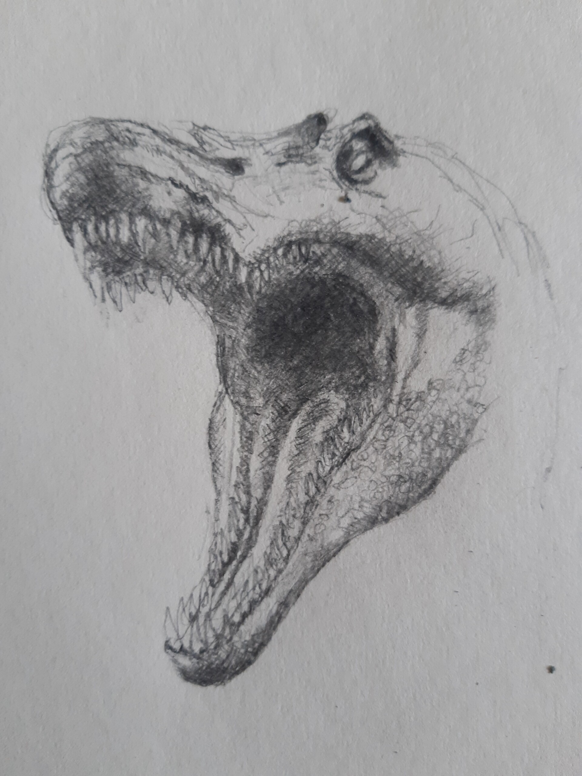 ArtStation - Spinosaurus