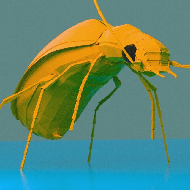 Genoma - Neighborhood III (Defending Bombardier Beetle), 2020