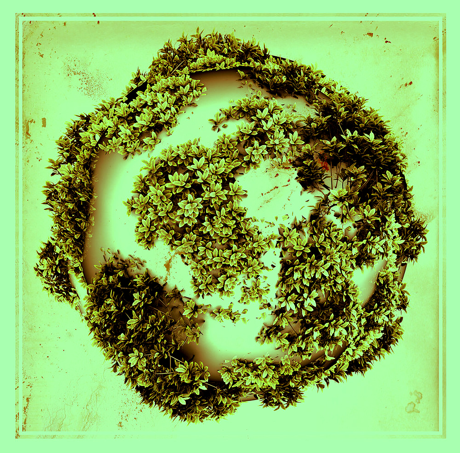 ArtStation - BUSHBALL