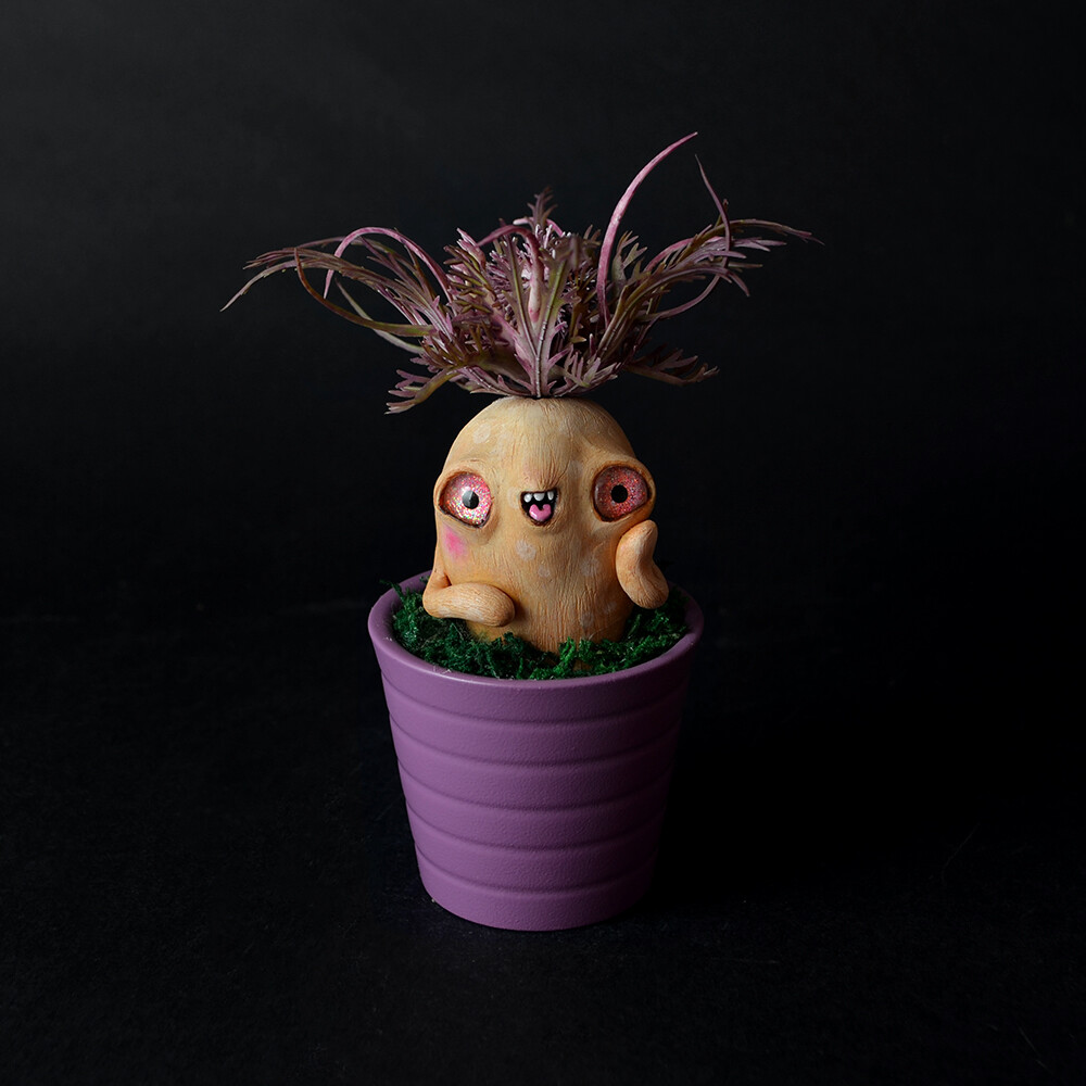 Katarzyna "Falauke" Czarna - succulent creatures