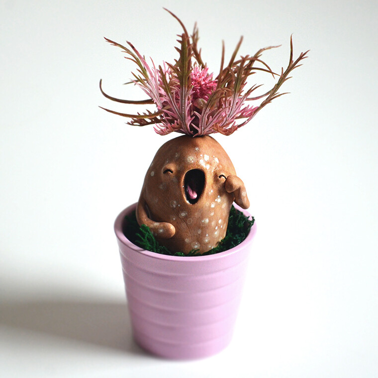 Katarzyna "Falauke" Czarna - succulent creatures