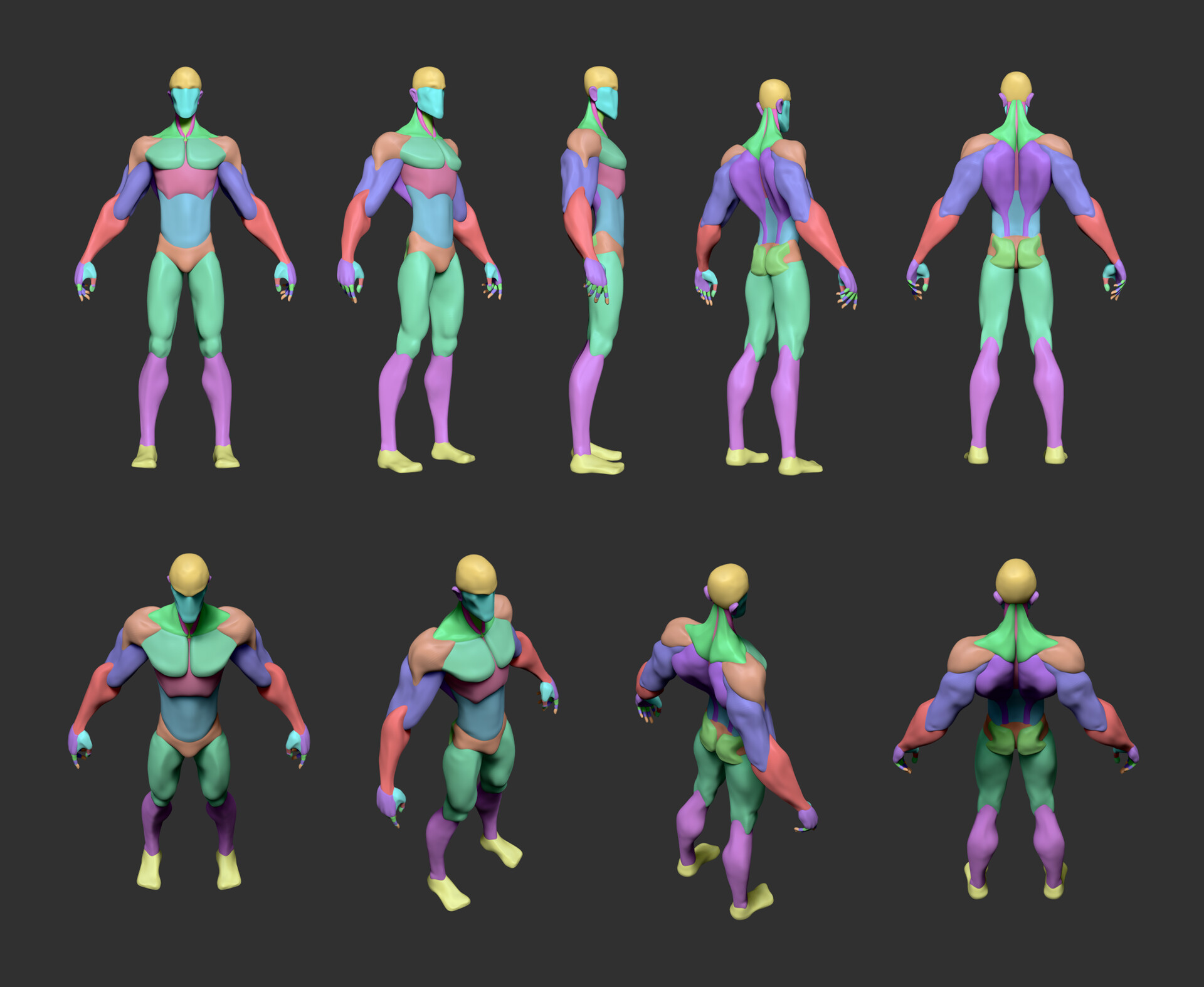 ArtStation - Male Anatomy Study