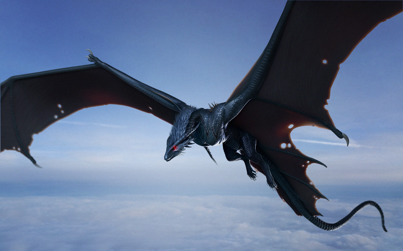 James Bear - Commissions Volume 1