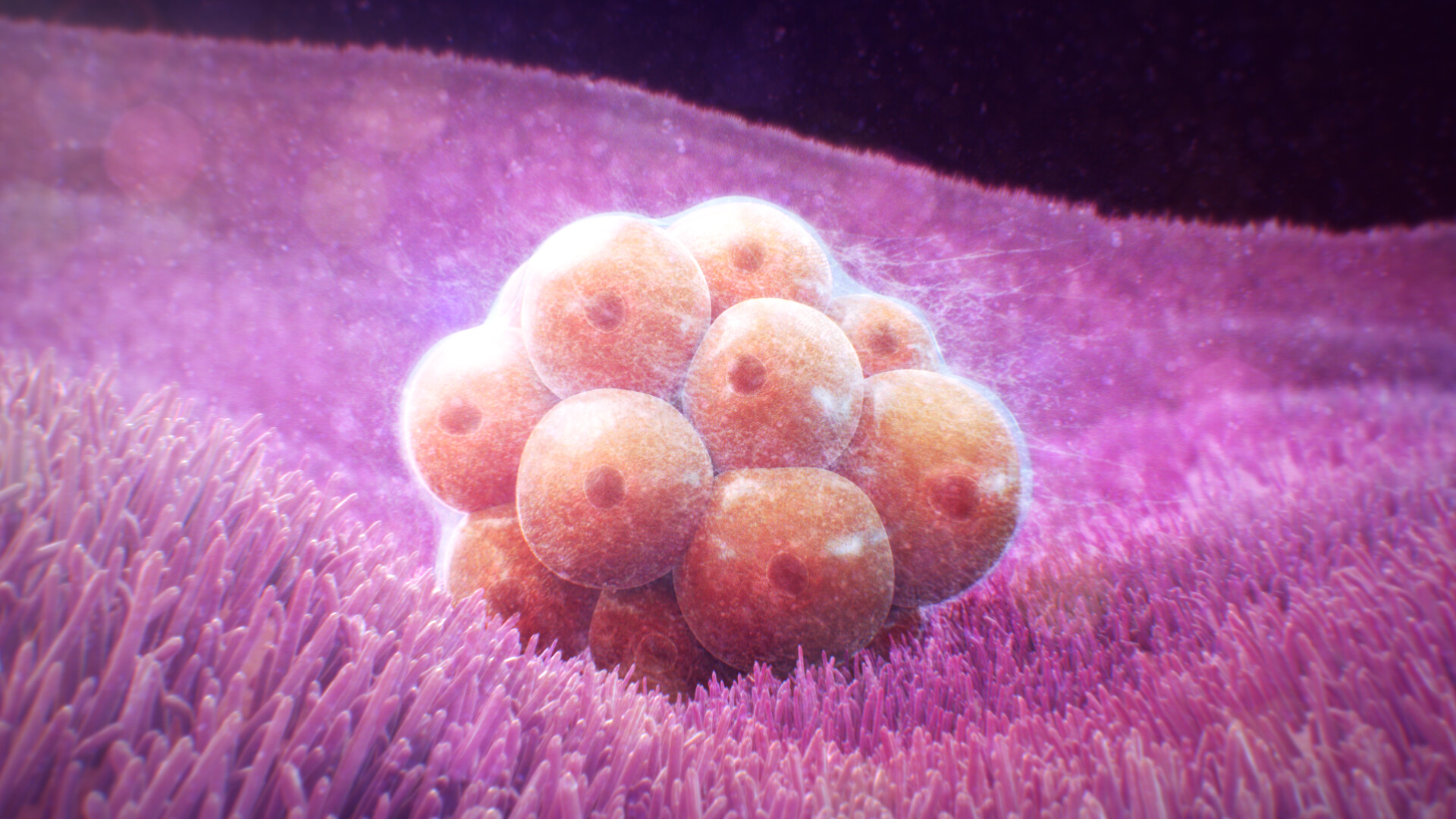 ArtStation - Embryo 16