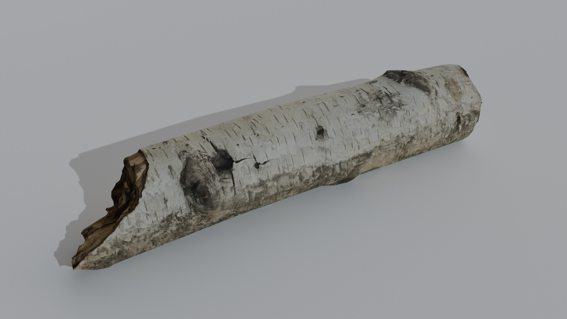 ArtStation - Birch log scan