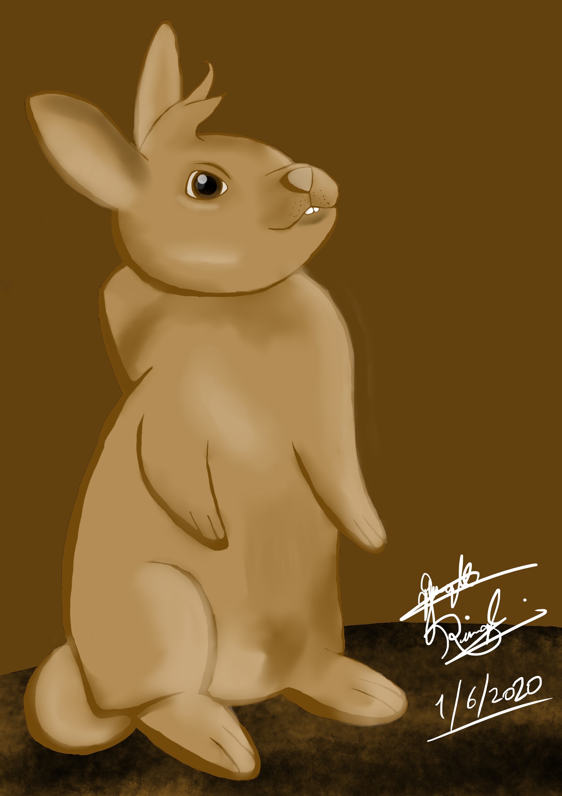 Gabriel Gurgel - Rabbit (Commission)