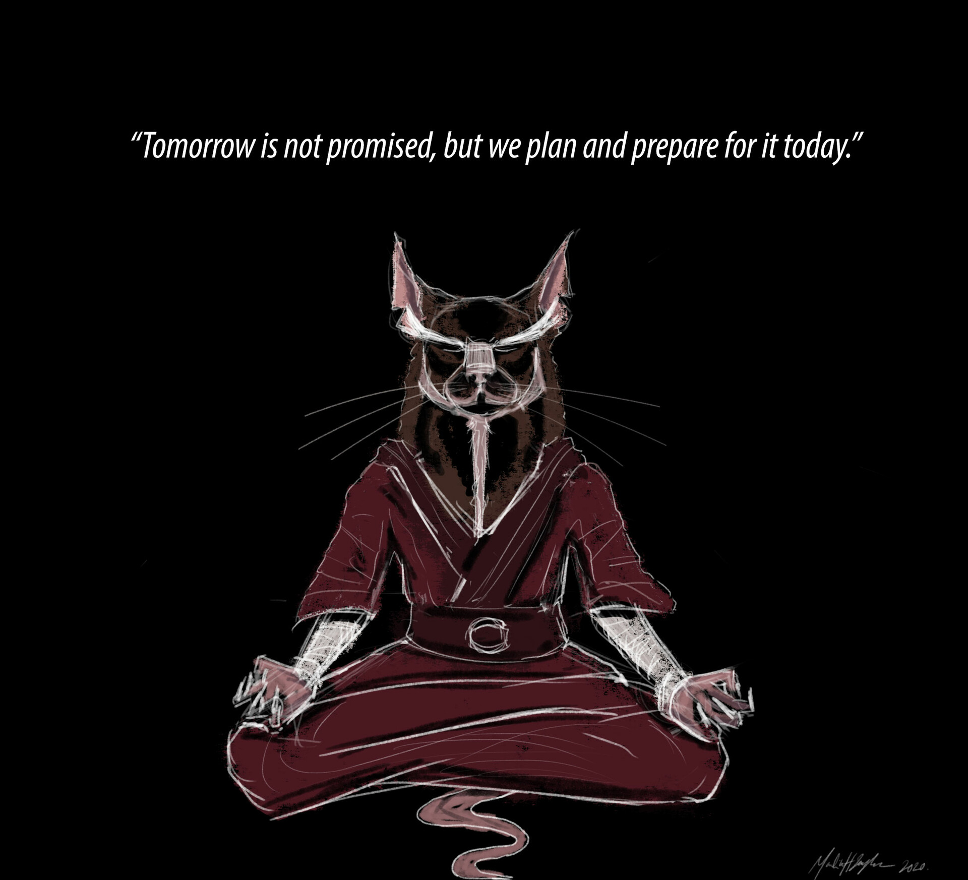 Master Splinter Quote