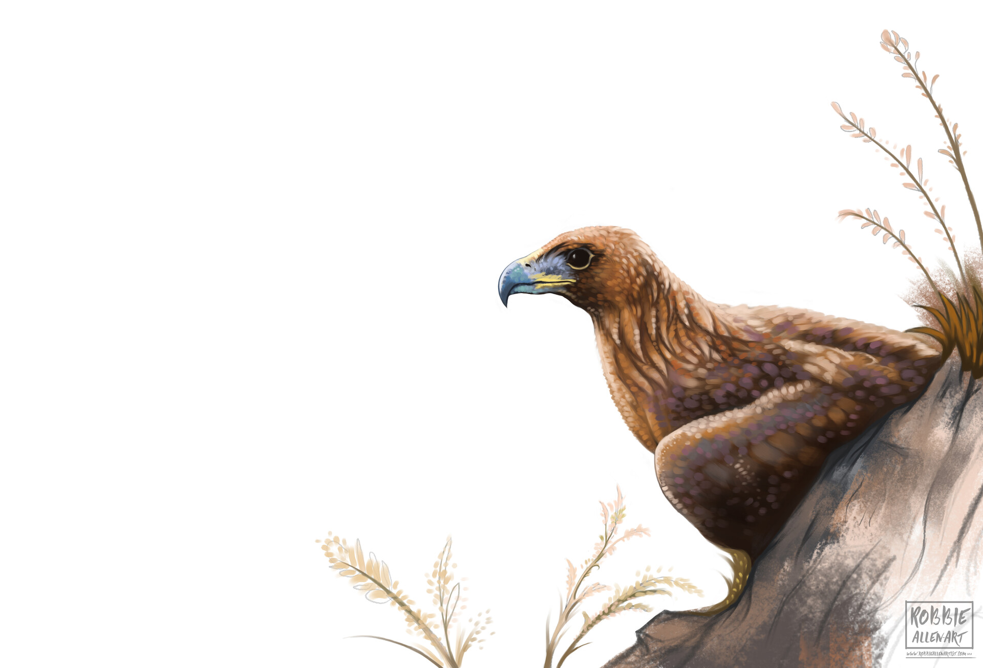 ArtStation - Ready to Soar, Robbie Allen