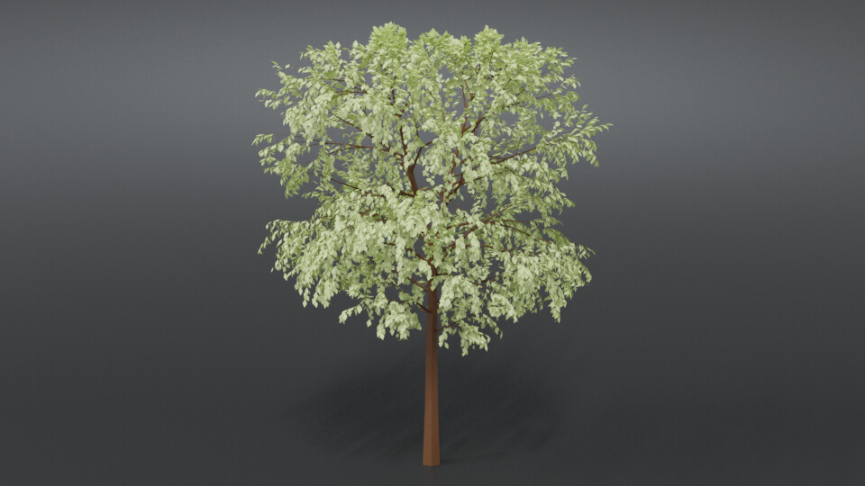 chroma 3D - Cartoon Tree 3D