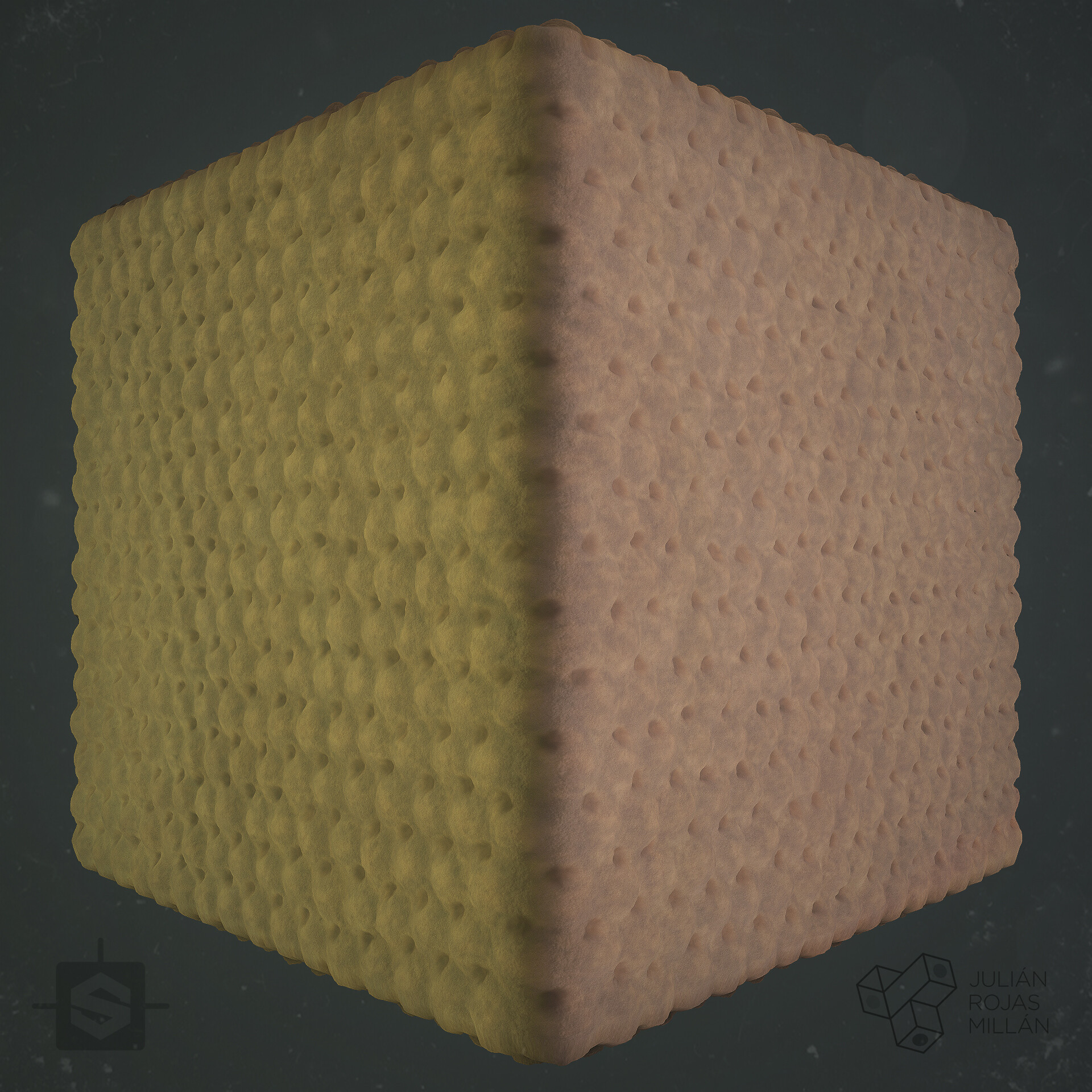 Julián Rojas Millán - Substance Designer Coral B / Free SBS file and ...