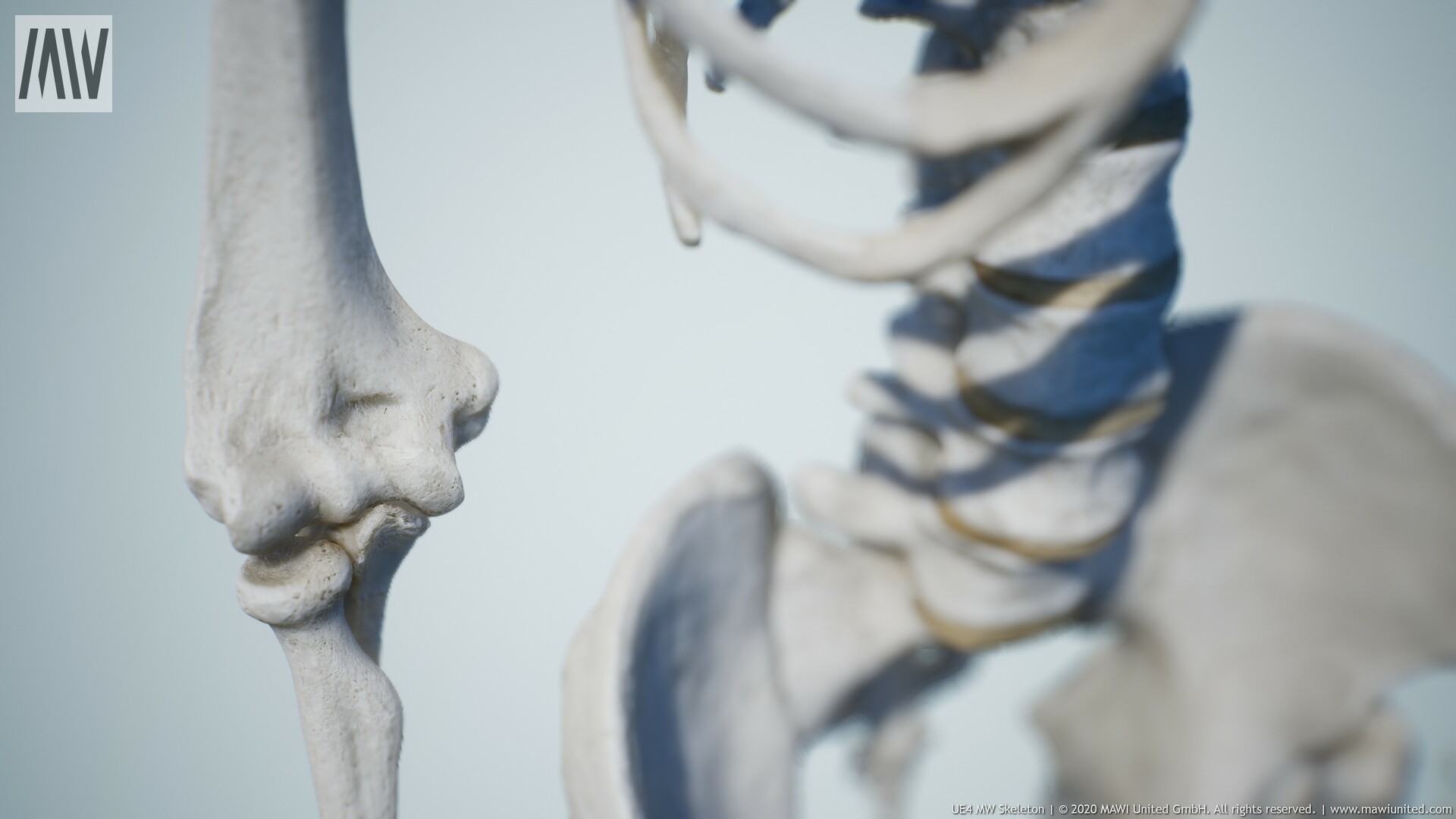 MAWI United - UE4 MW Skeleton