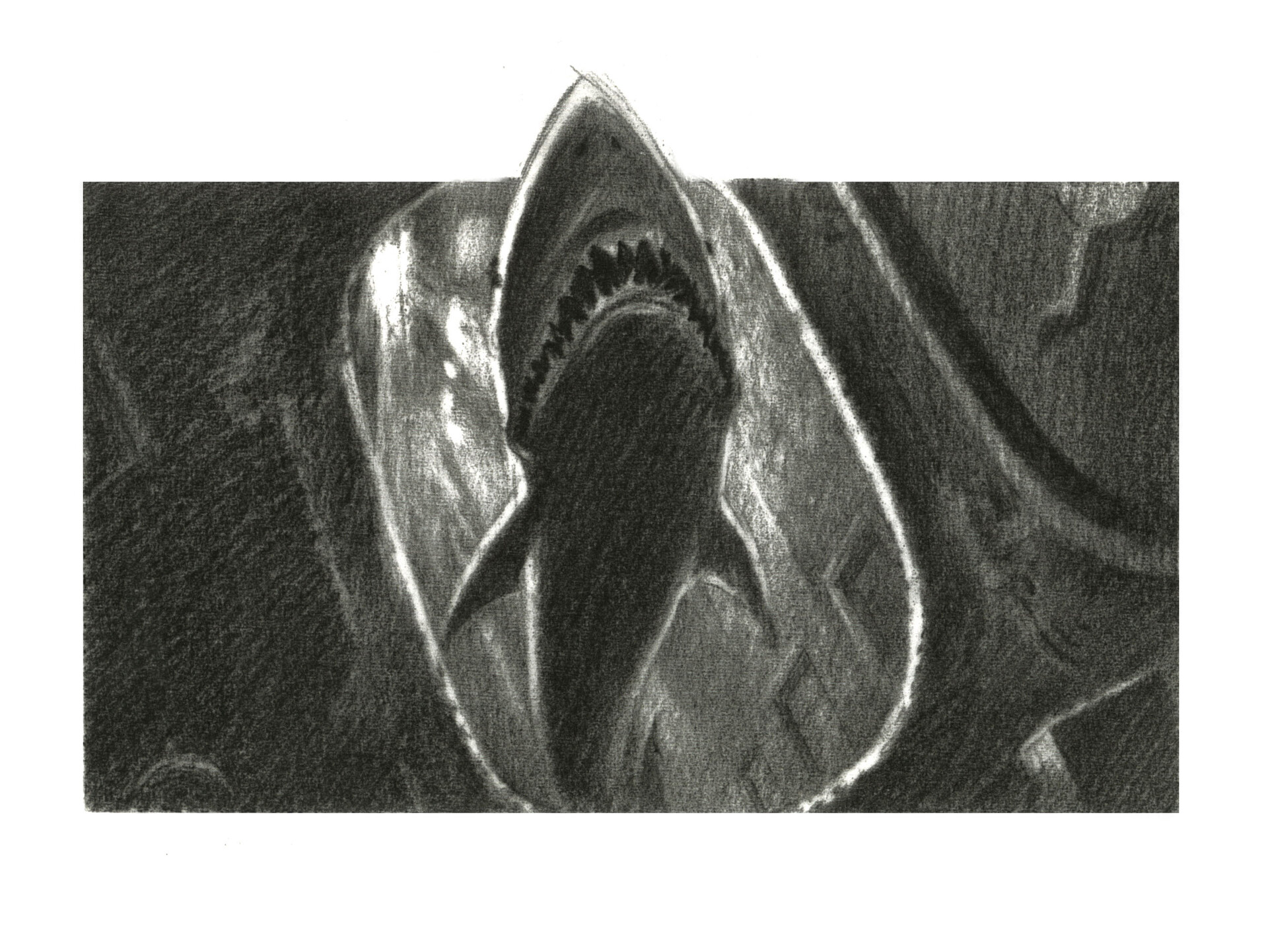 finding nemo drawing realistic