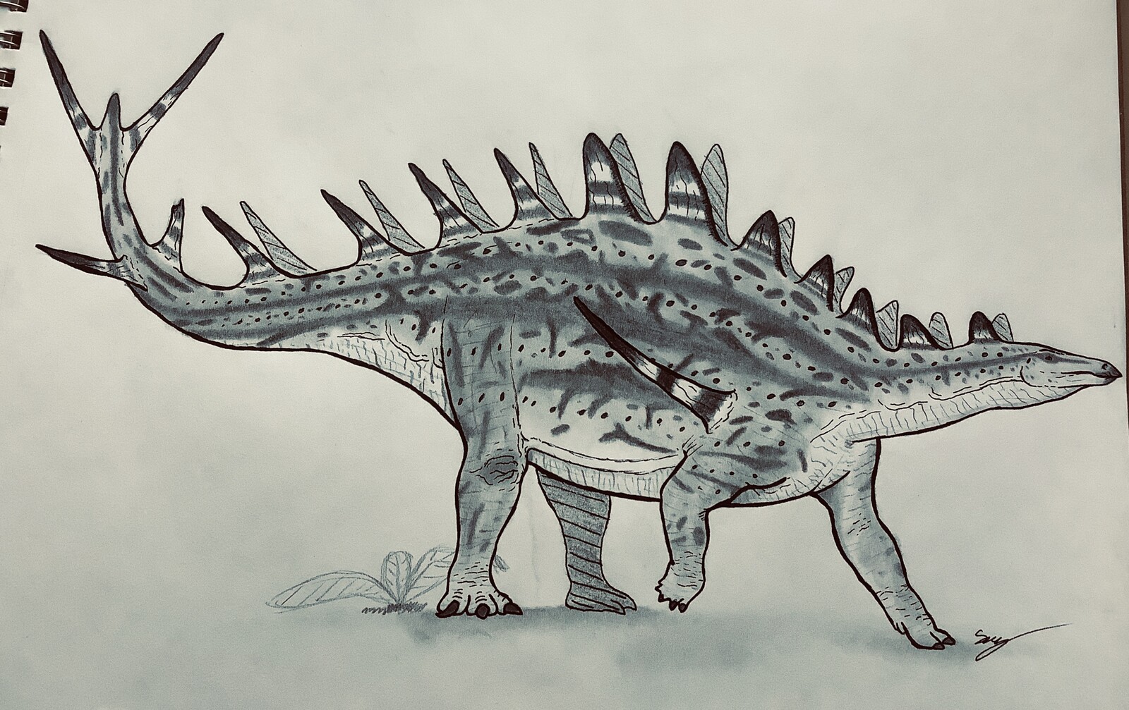 Sean Kiley Tendaguru Dinos