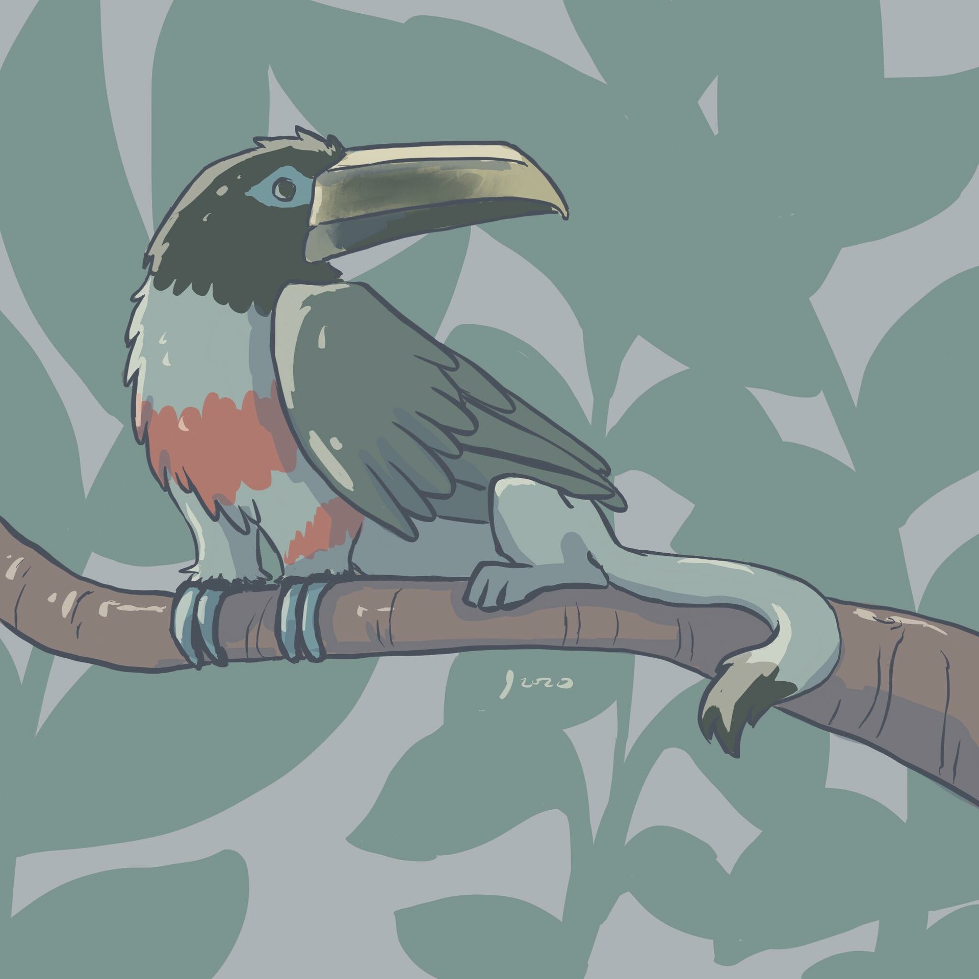 ArtStation - Chesnut Eared Aracari Gryphon