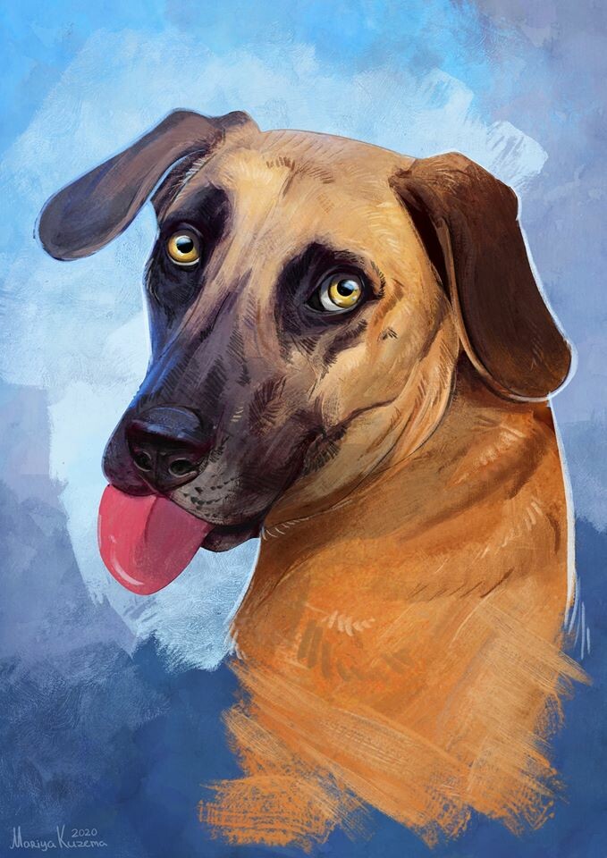 ArtStation - Digital dog portrait