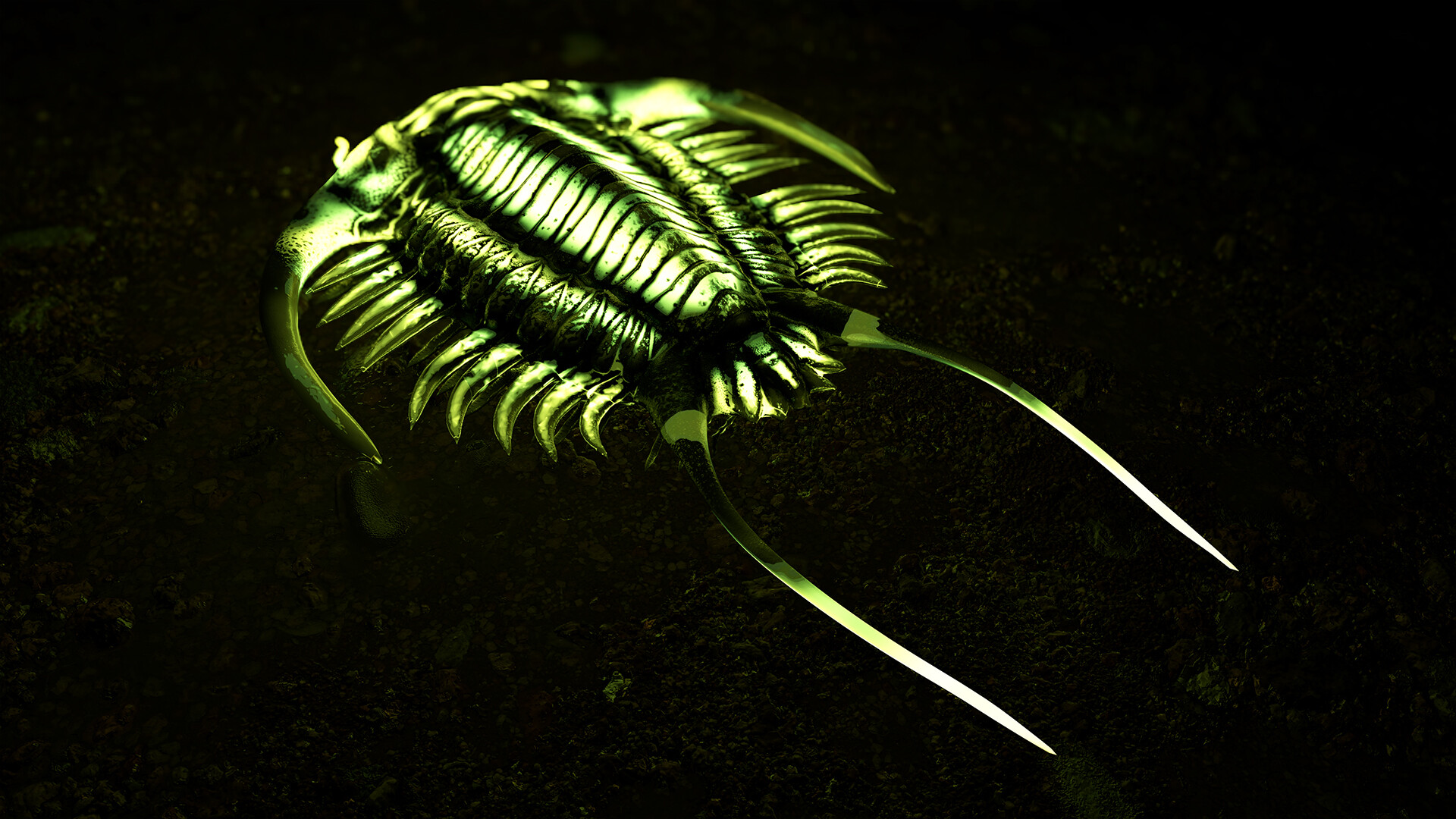 Game-Ready Studios - Trilobites