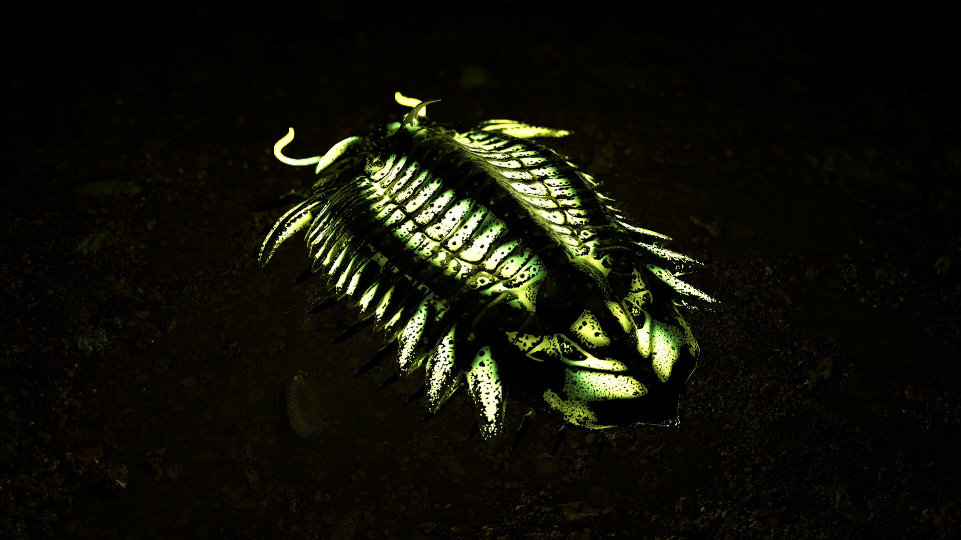 Game-Ready Studios - Trilobites