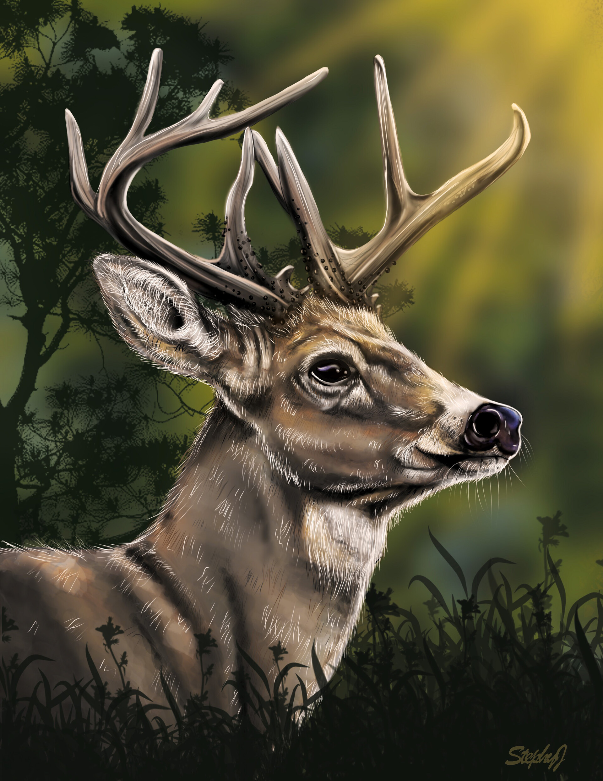 ArtStation - Deer